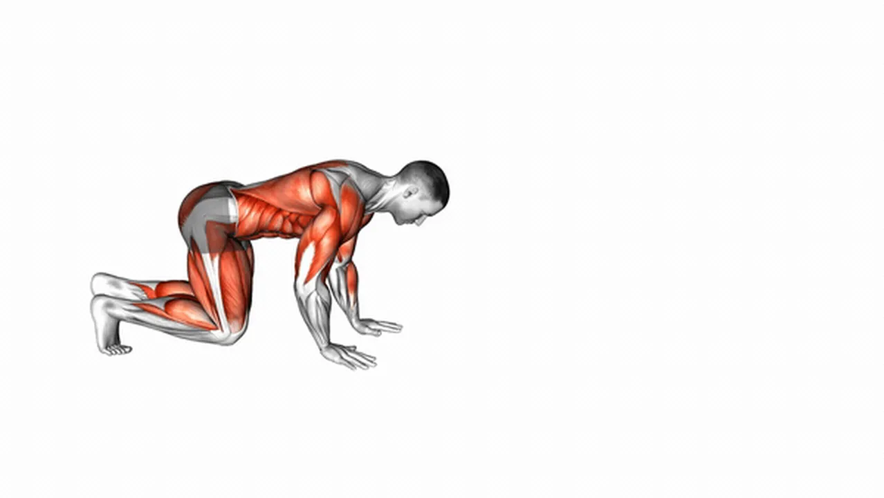 Bear Crawl Exercise Guide How To Muscles Worked Variations
